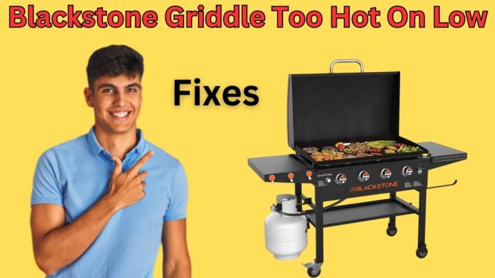 Blackstone Griddle Too Hot on Low (With Fixes) - The Kitchen Wiki